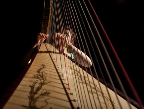 Hackbrett Zither Harfe | Kinder Musizieren